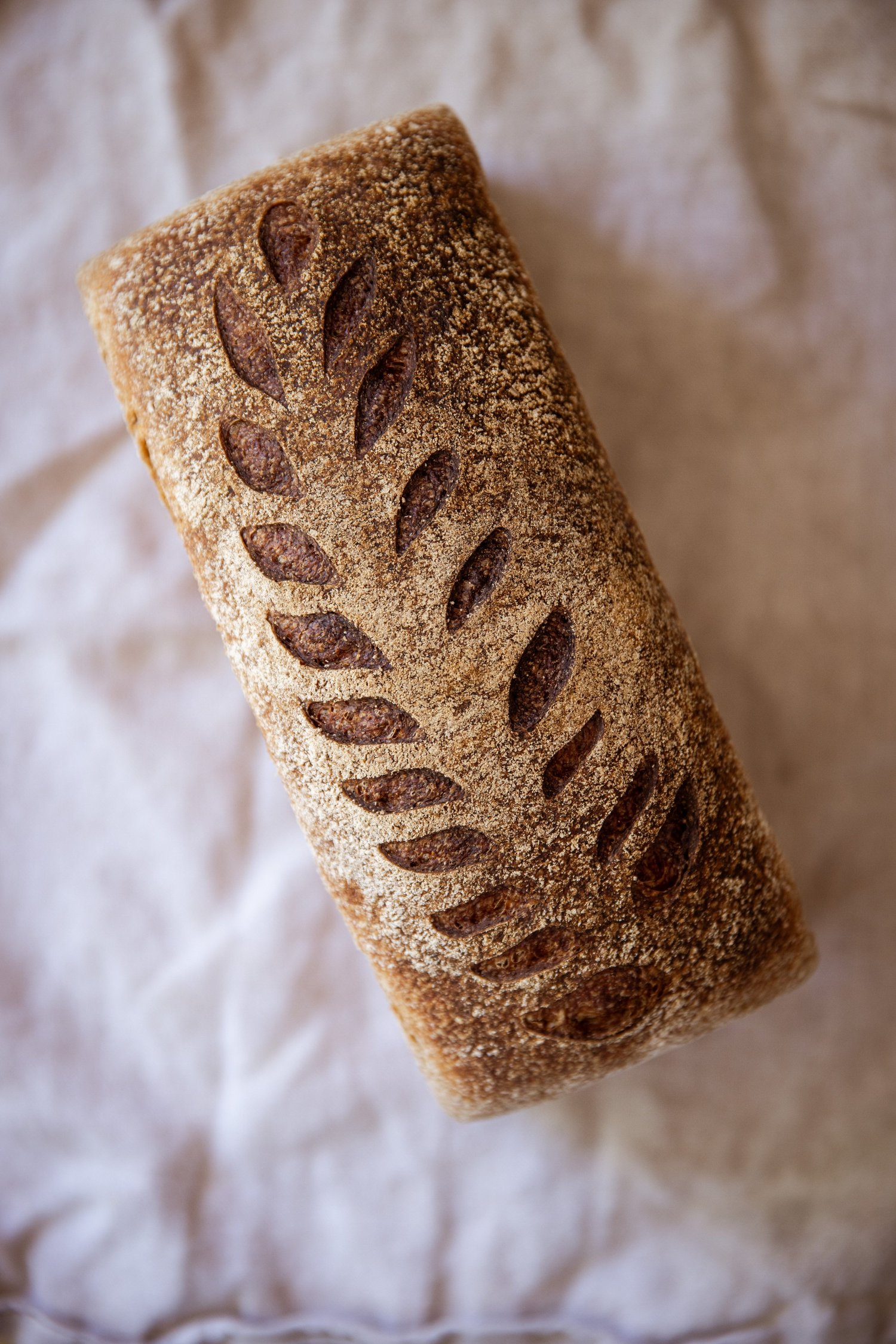 breads — LUCKY PENNY BREAD