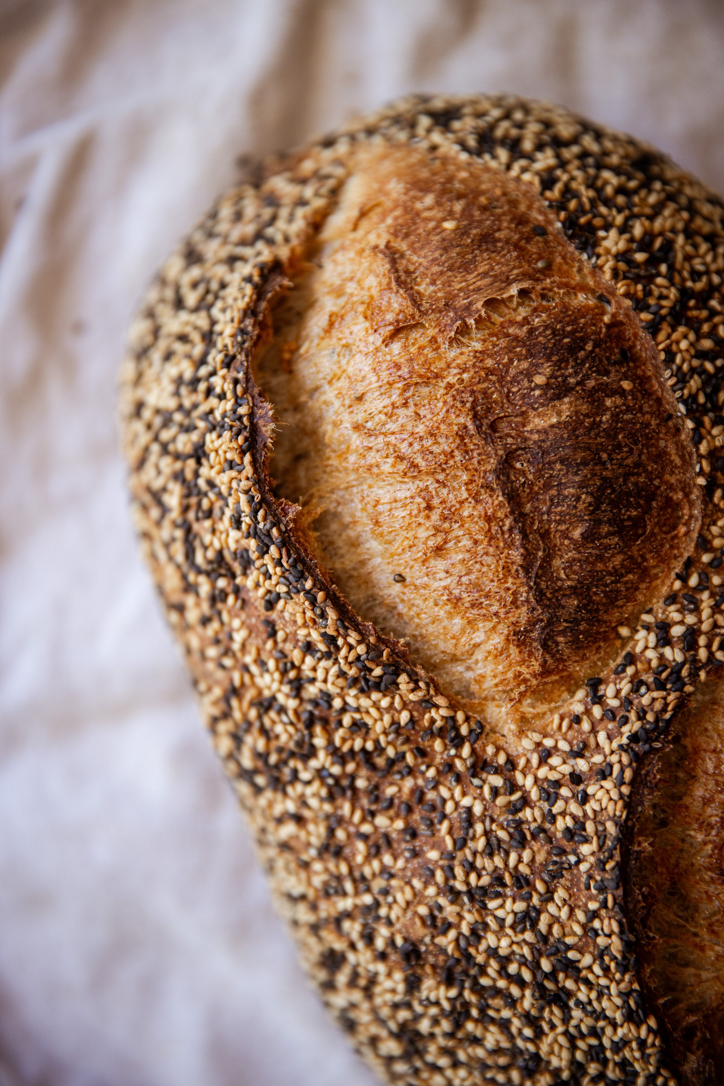 LUCKY PENNY BREAD