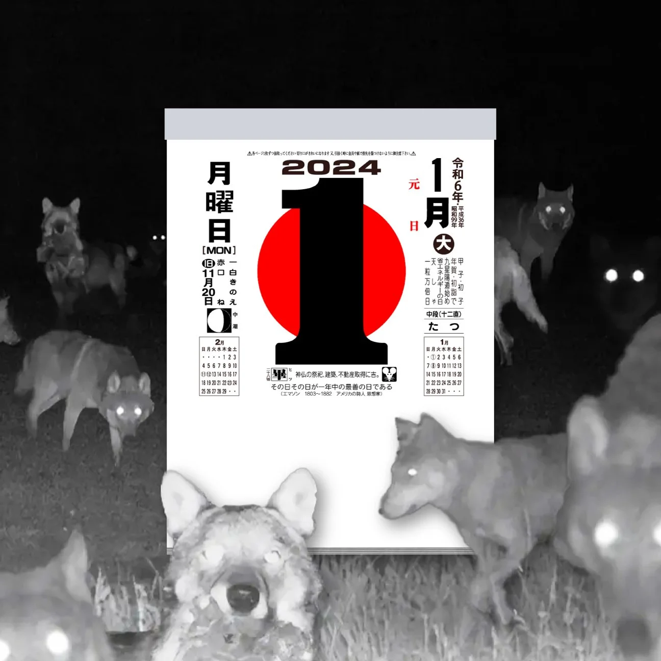 Hot Cool Tokyo — Japanese Daily Calendar #9 2024 Edition