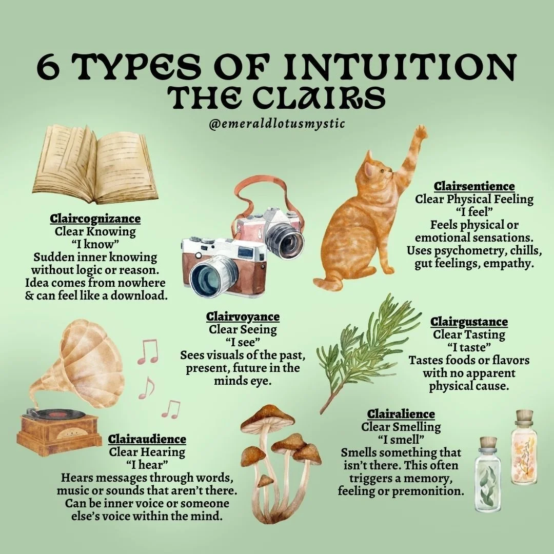 Witch Tips — Emerald Lotus