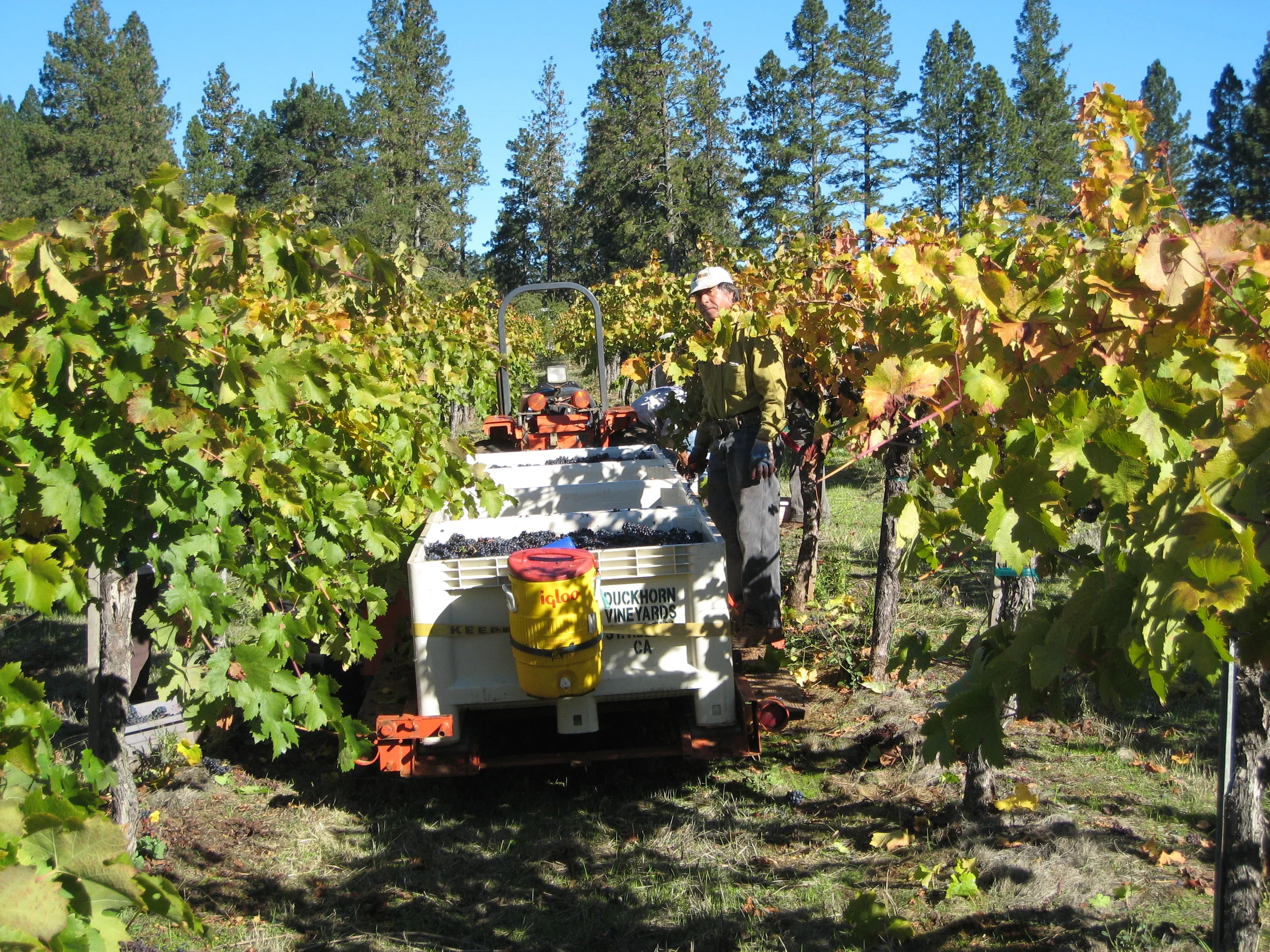 Natural Practices — Howell Mountain Vineyards