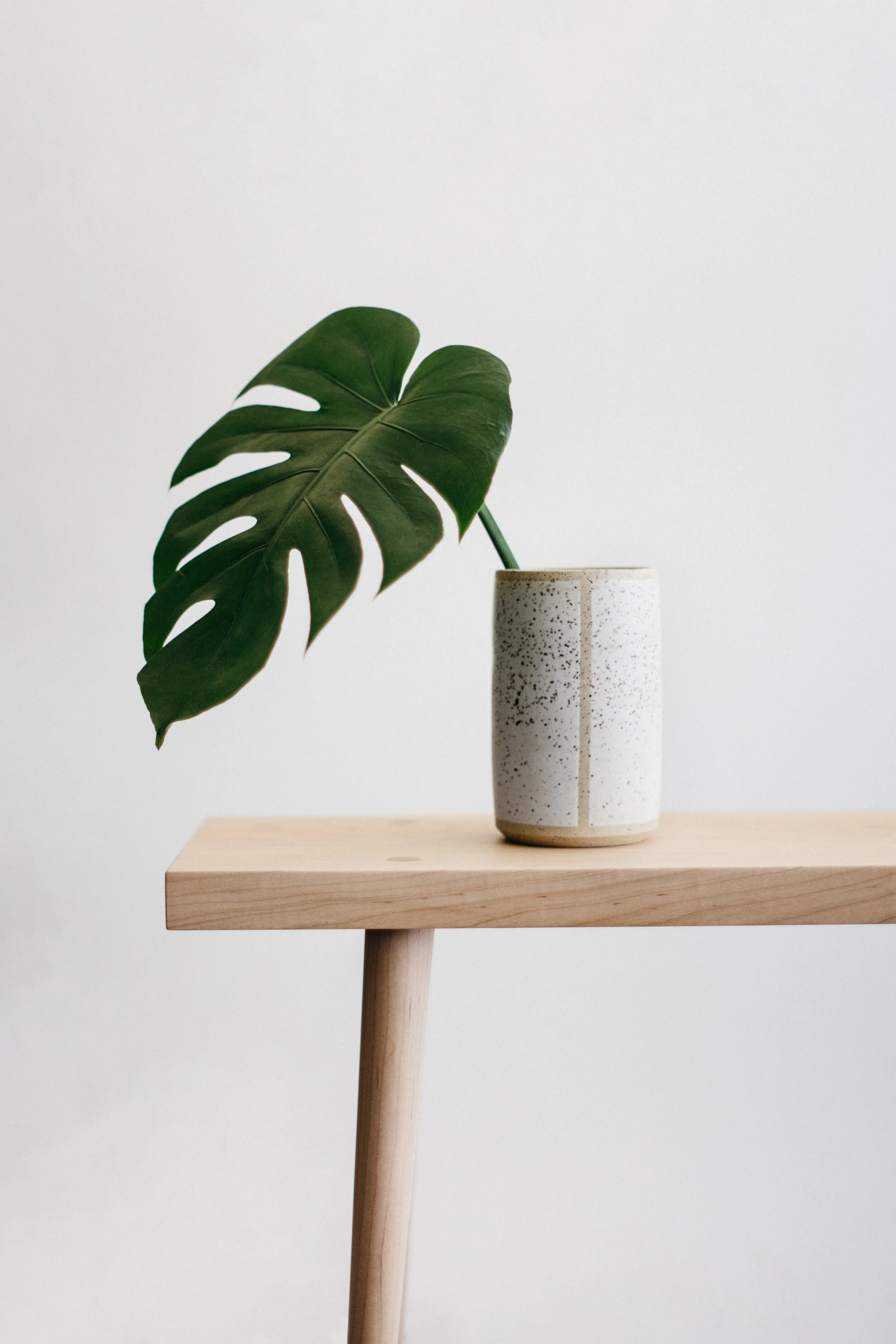 Gallery — Anna Ceramics