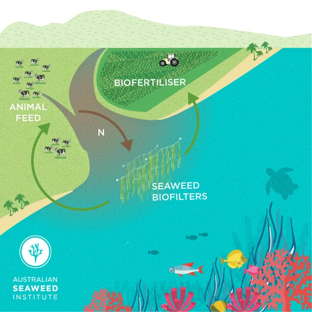 Australian Seaweed Institute