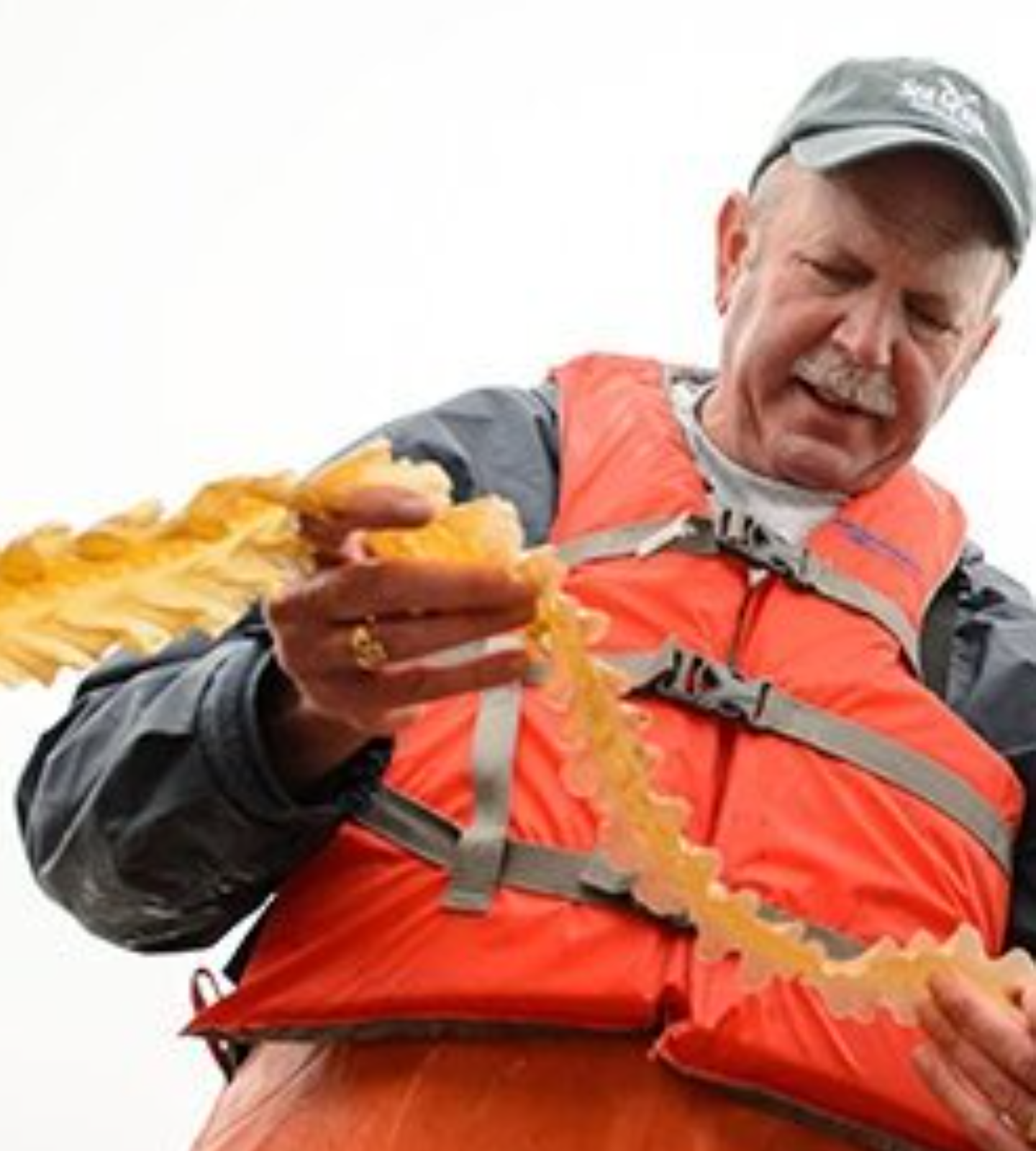 Team — Australian Seaweed Institute