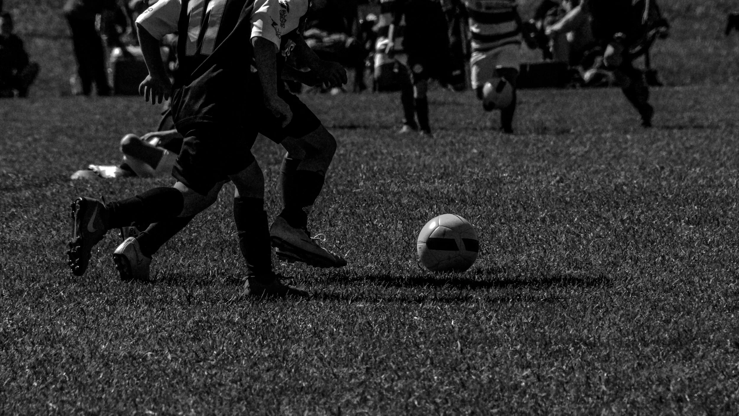 Premier Academy League