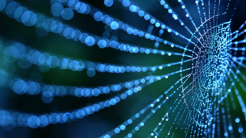 ADHD and Trauma: Exploring a Tangled Web — Boketto Center