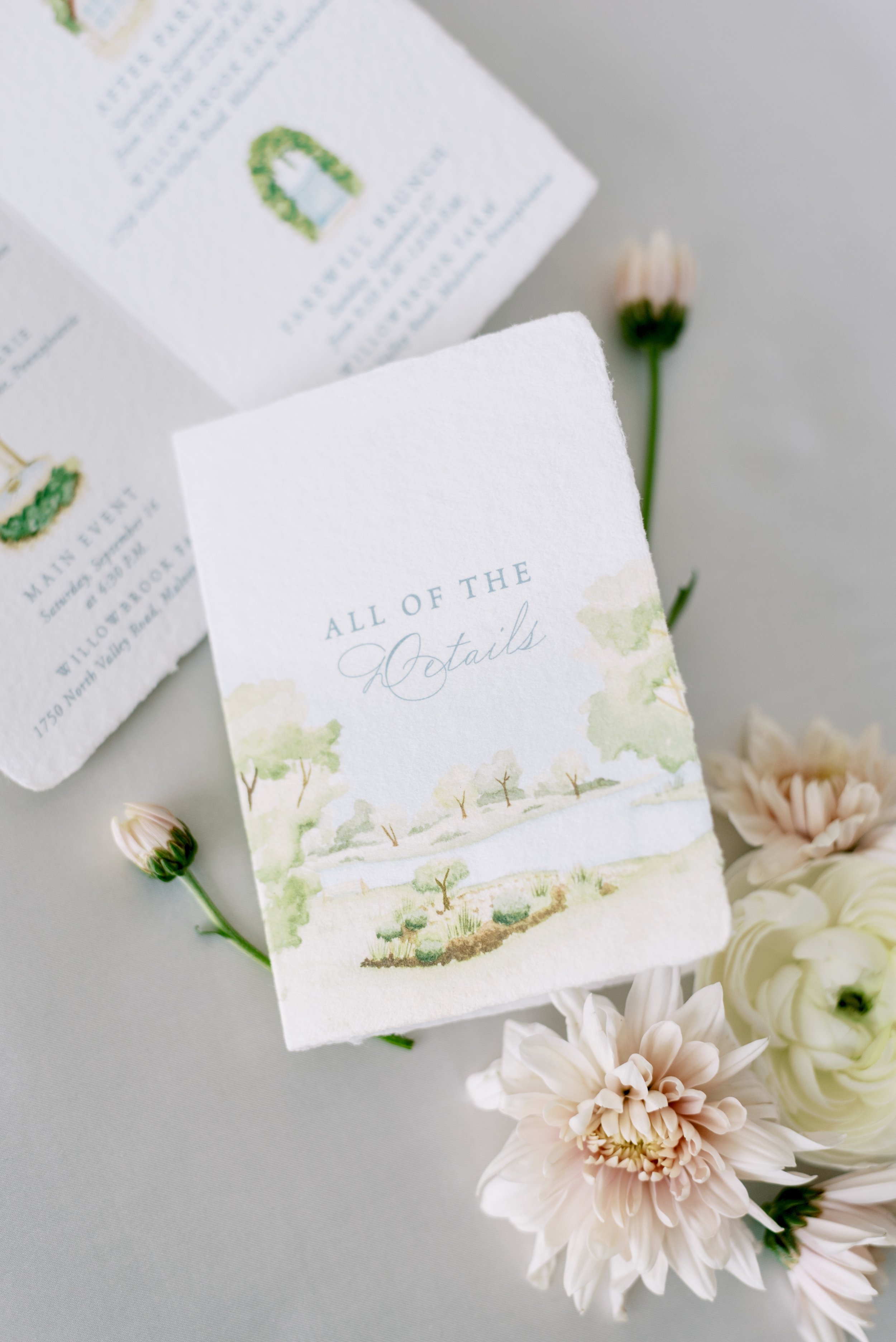 Our Process — Crane & Palette