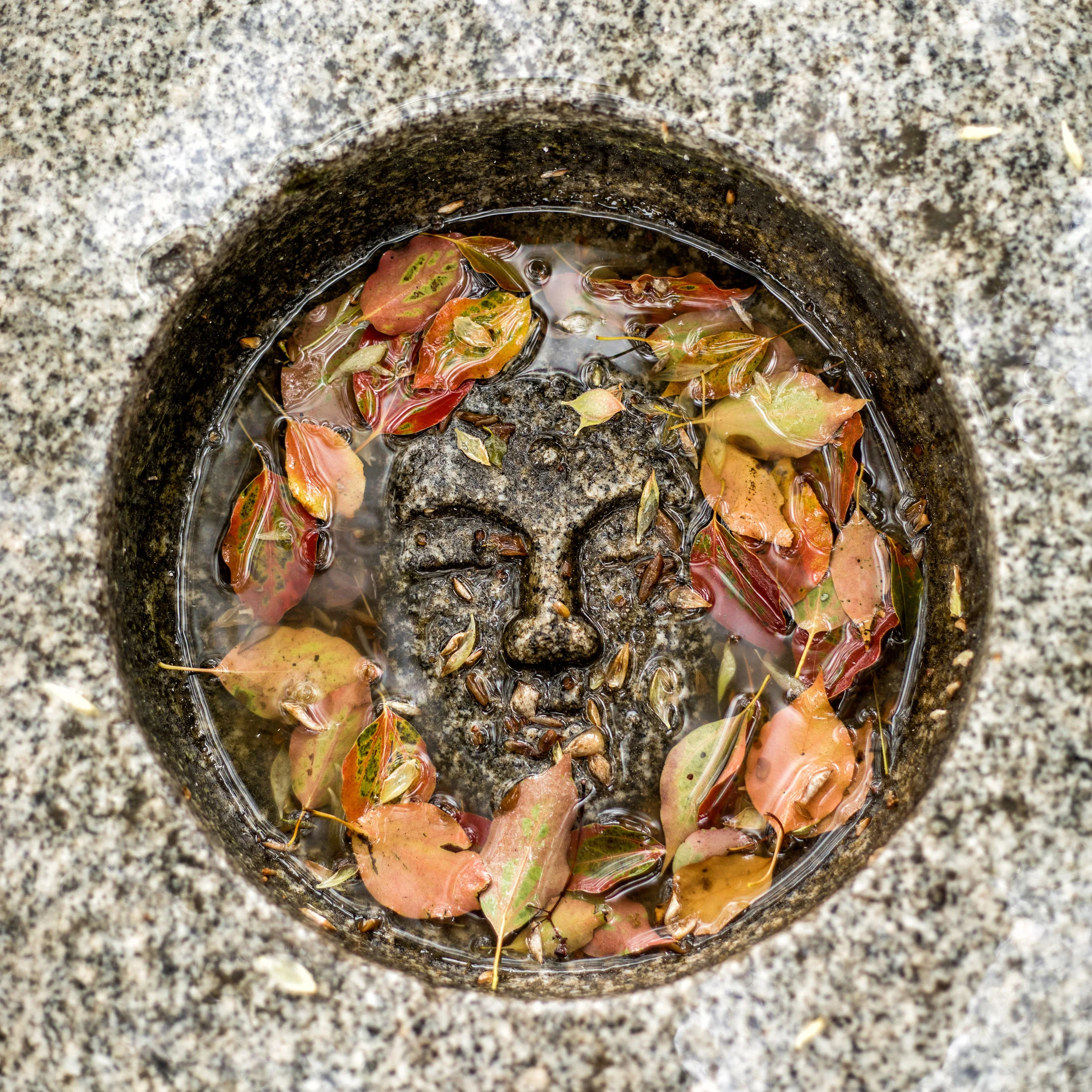 ABOUT — JoAnn W. Payne, LCSW