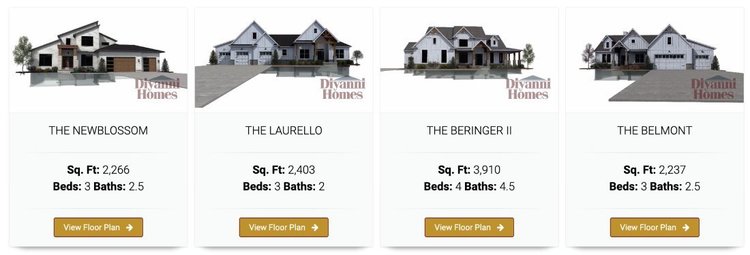 DiYanni Homes Custom Luxury Builders & BuildBuyRefi Loans