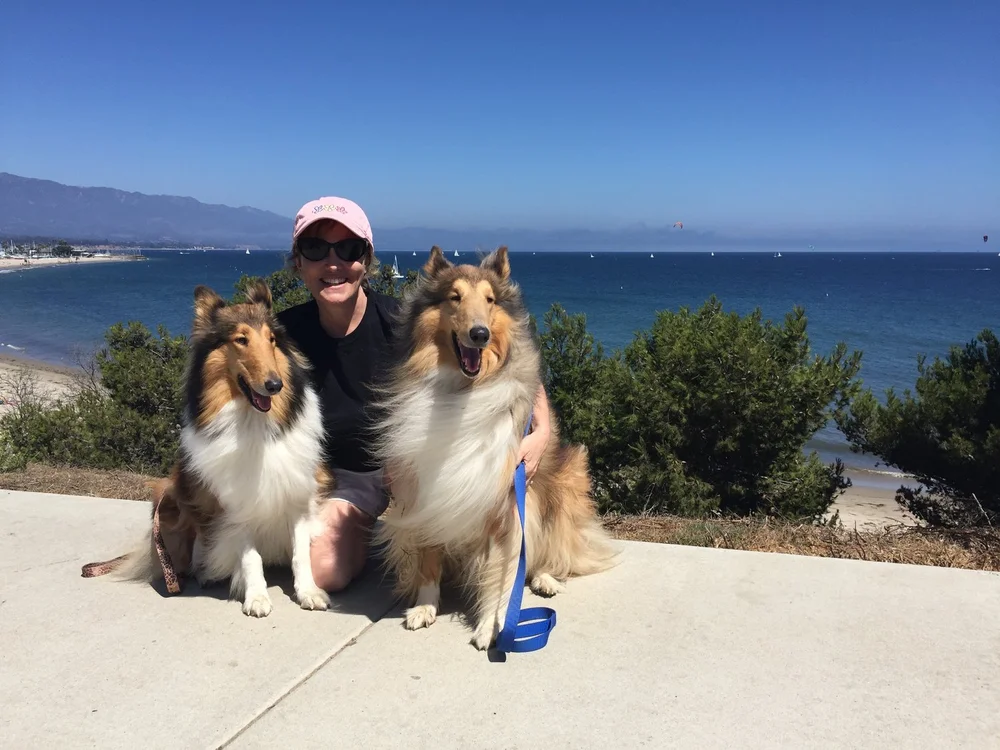 About Us — Southland Collie Rescue