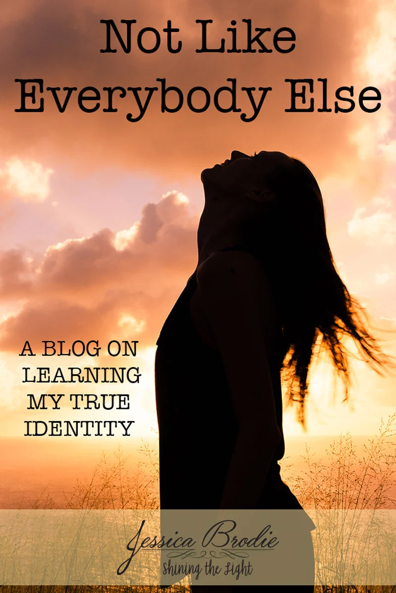 Not Like Everybody Else — Jessica Brodie
