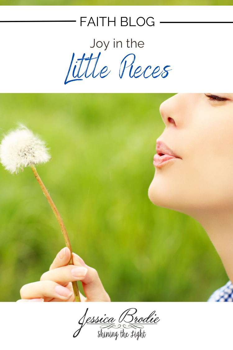 Joy in the Little Pieces — Jessica Brodie