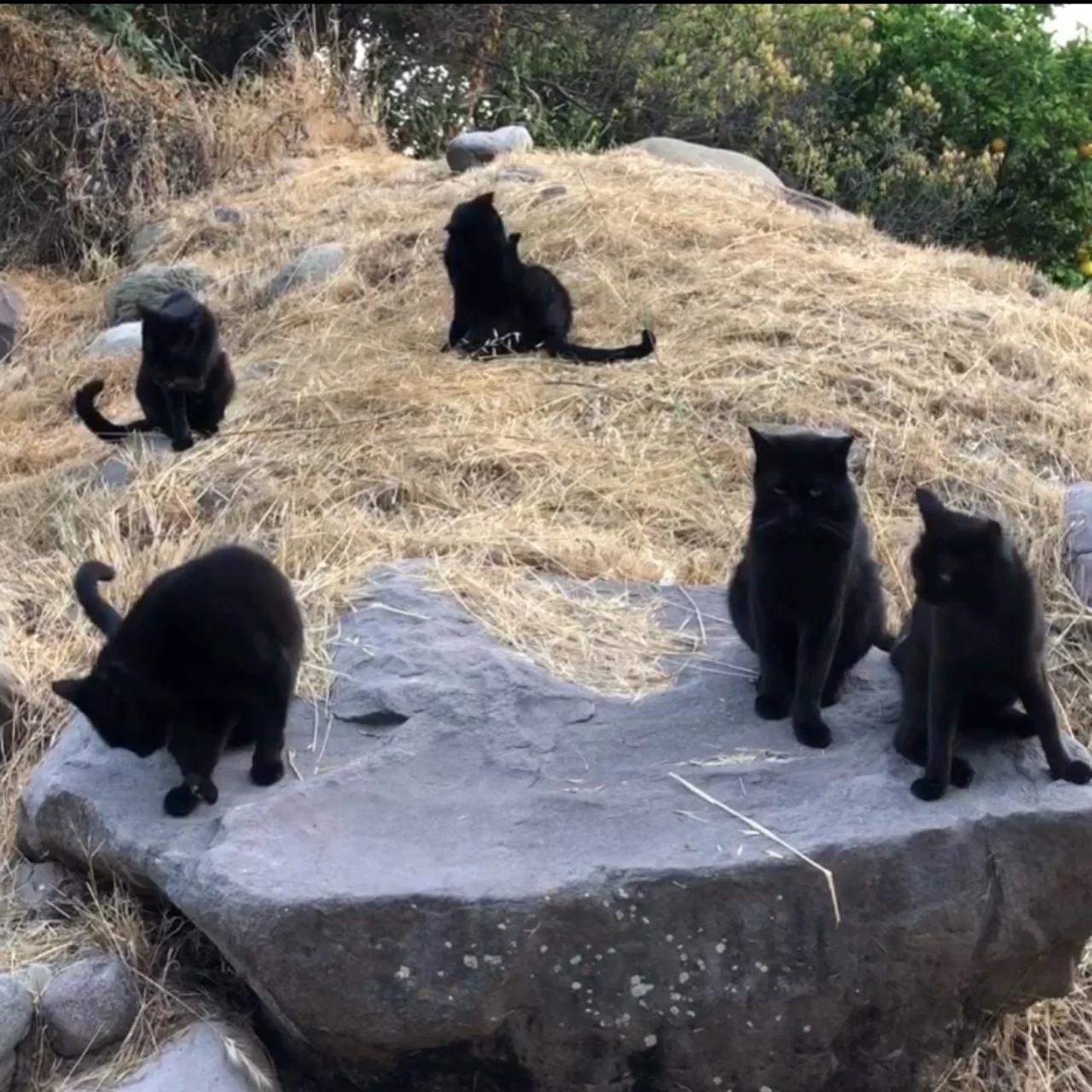 CONTACT — ROBERT GUNDERMANRobert Gunderman