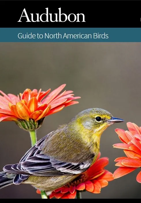Birding Resources — Red Cliffs Audubon