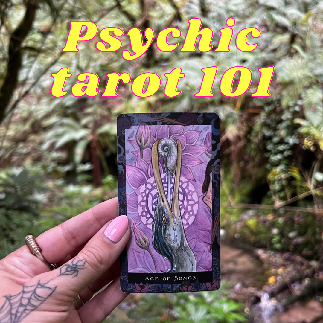 Shop — Celeste Mott