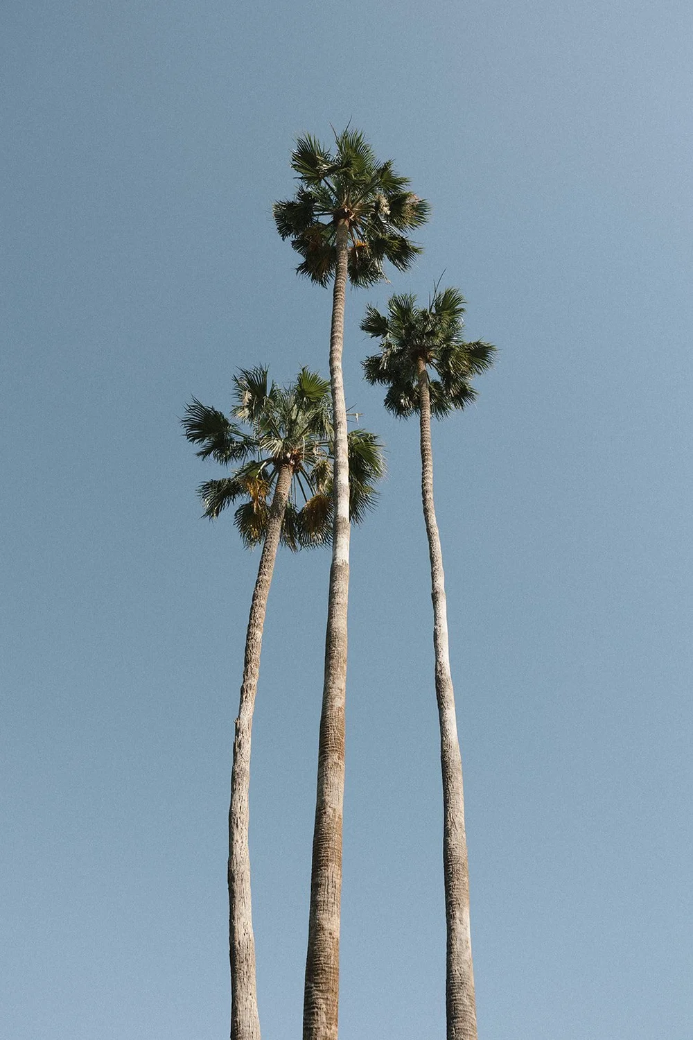 Midcentury Modern Elopement at Frederick Loewe Estate in Palm Springs ...