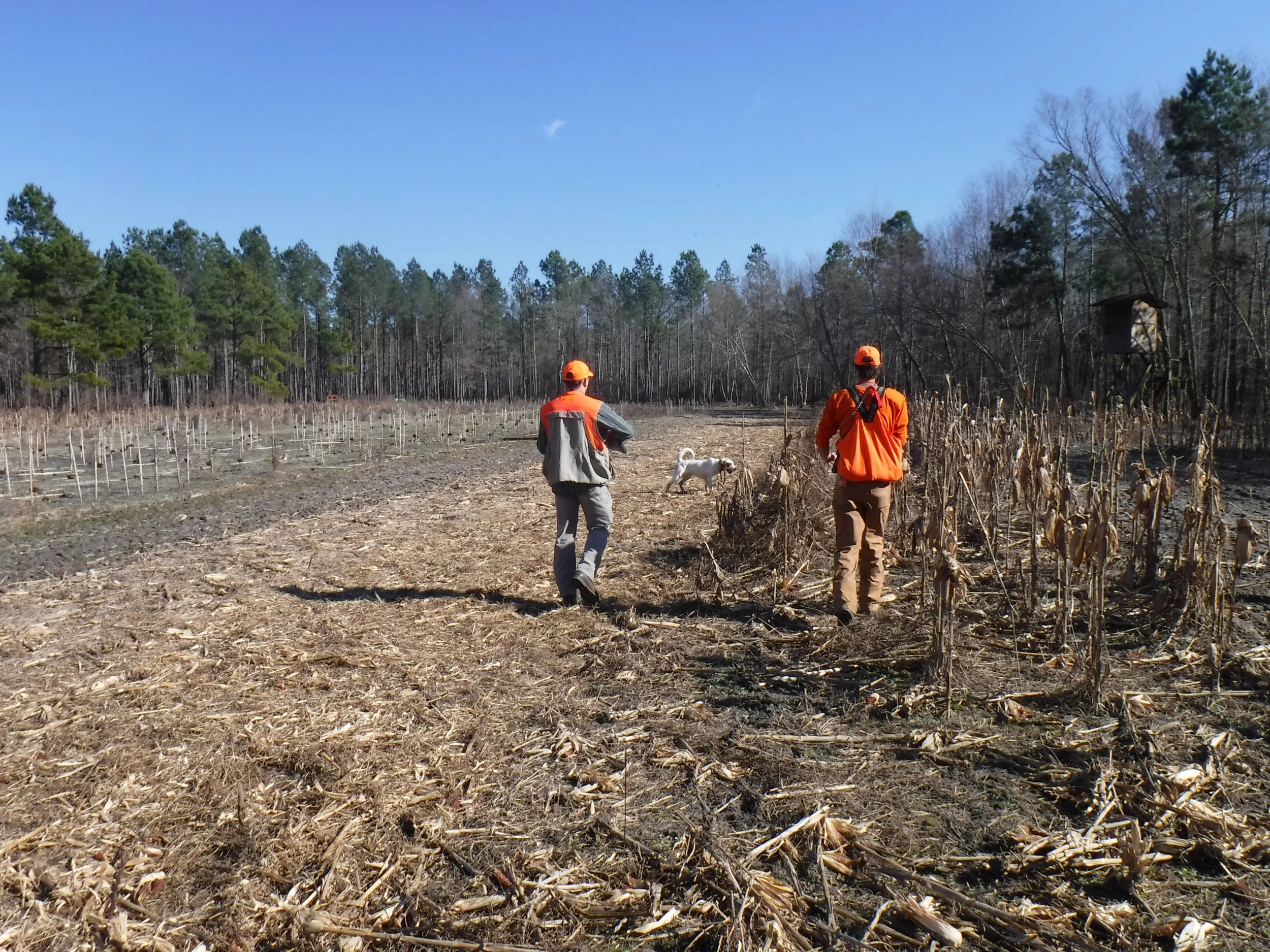 Indian Field Quail Preserve