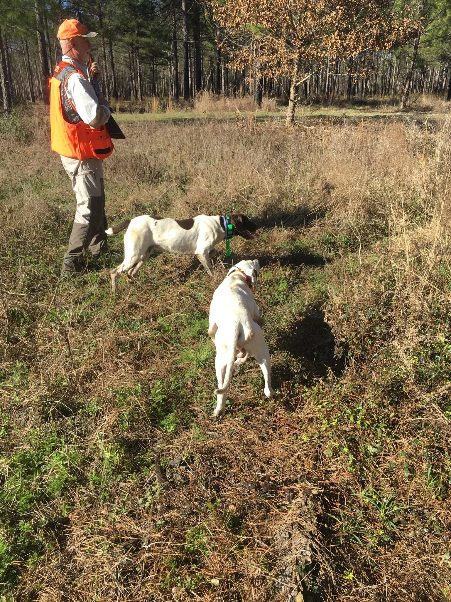 Indian Field Quail Preserve