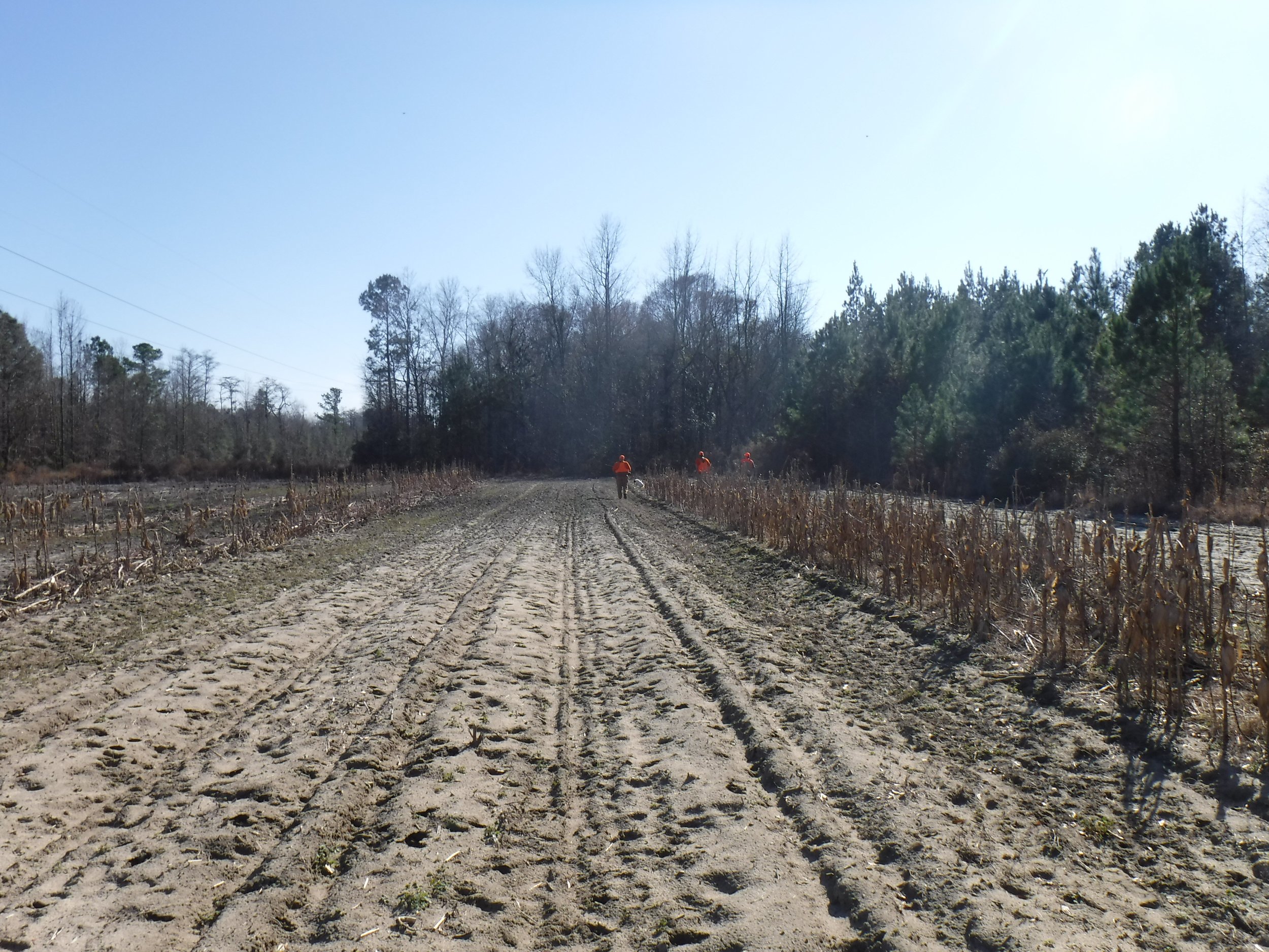 Indian Field Quail Preserve