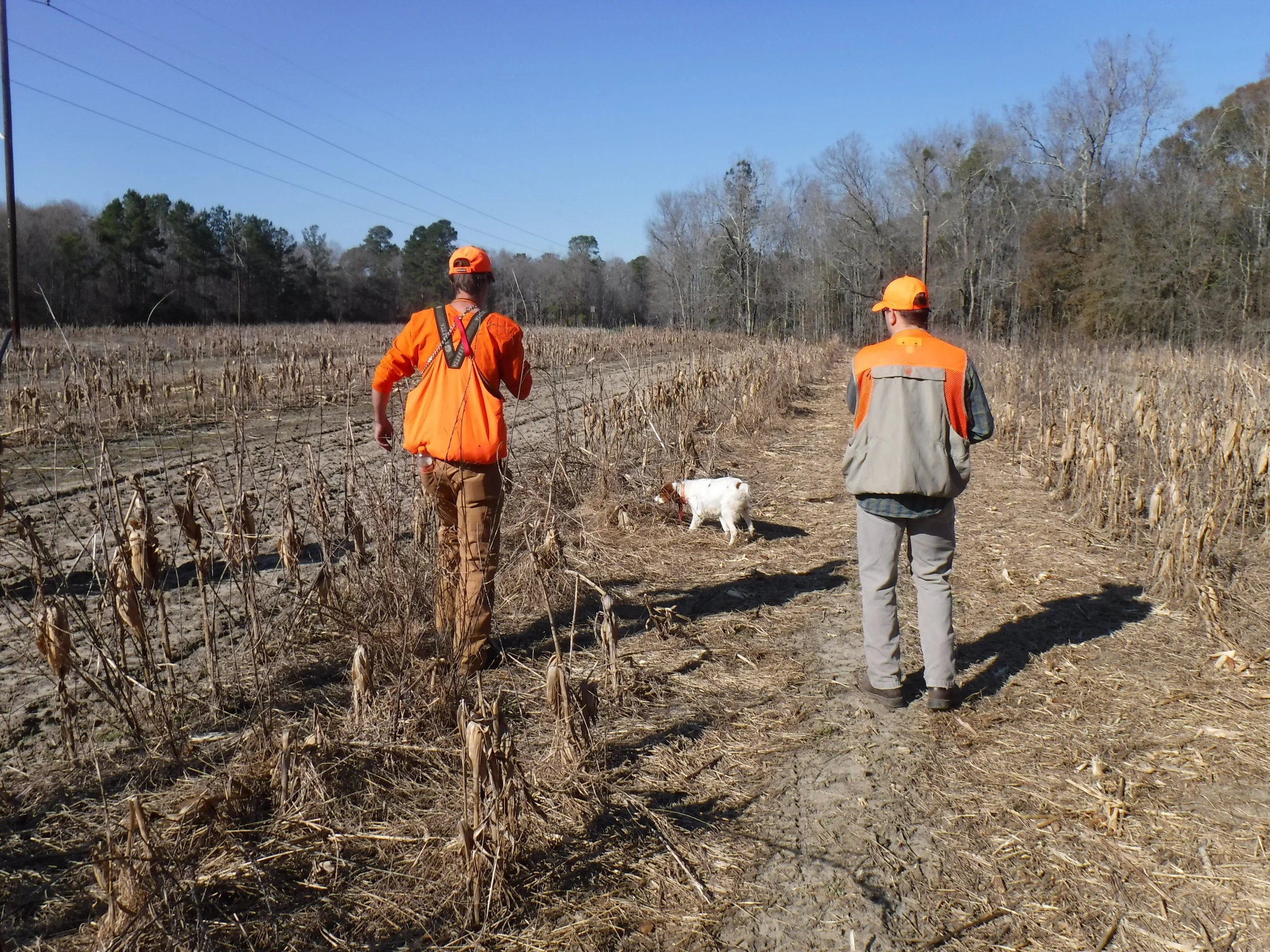 Indian Field Quail Preserve