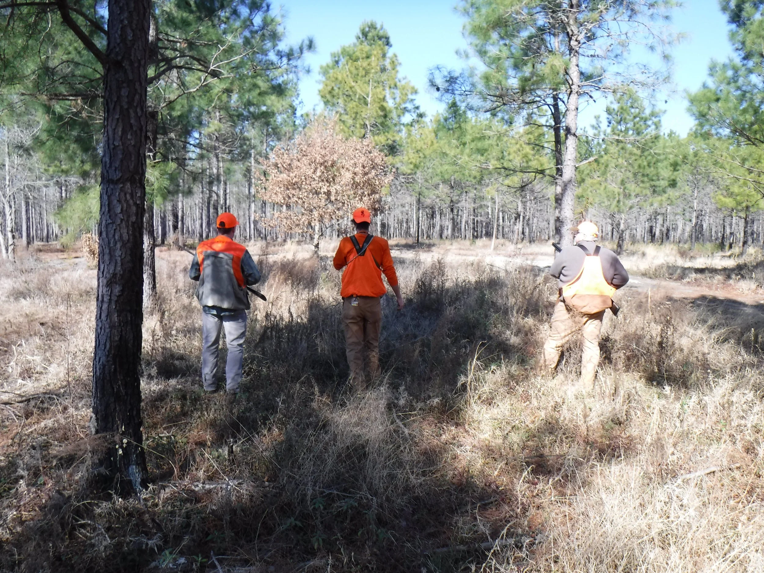 Indian Field Quail Preserve