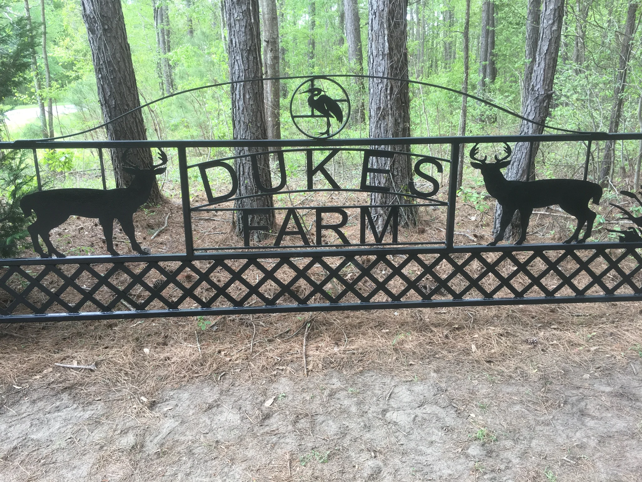 Indian Field Quail Preserve