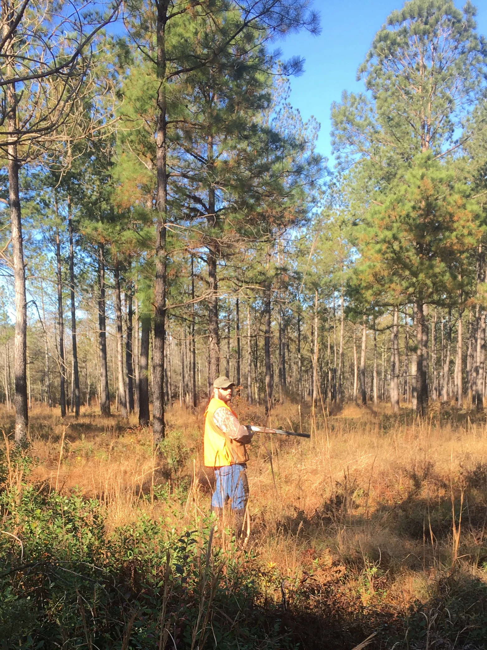 Indian Field Quail Preserve