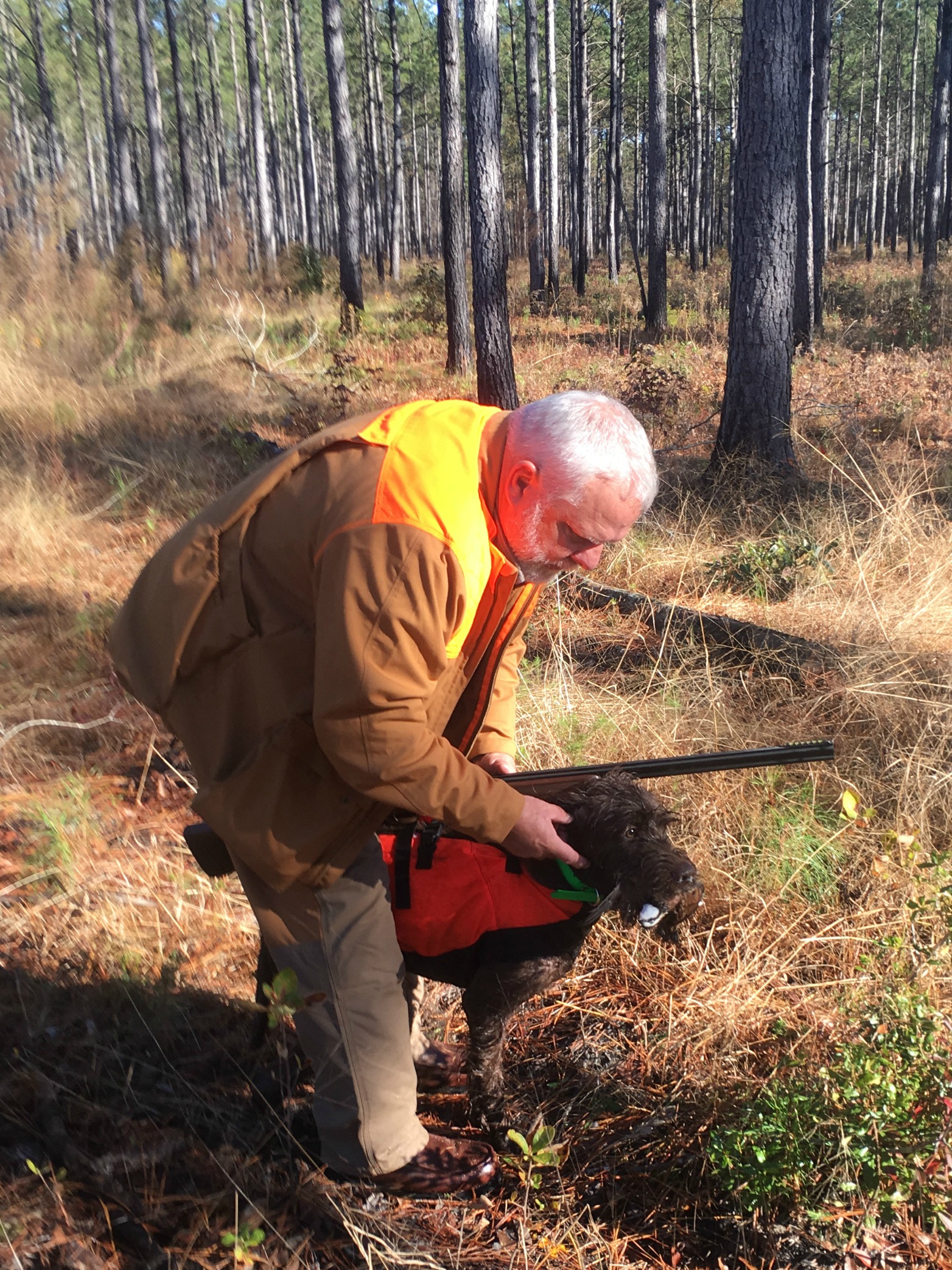 Indian Field Quail Preserve