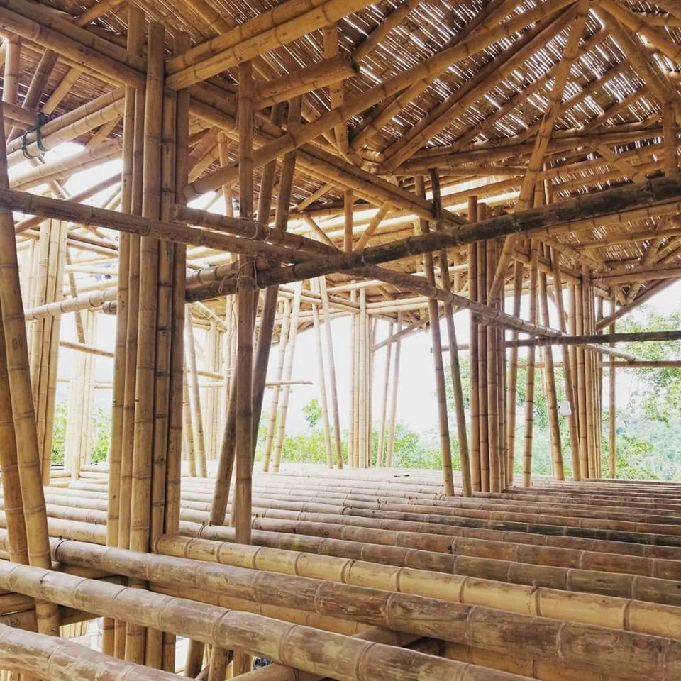 Regeneration Field Institute