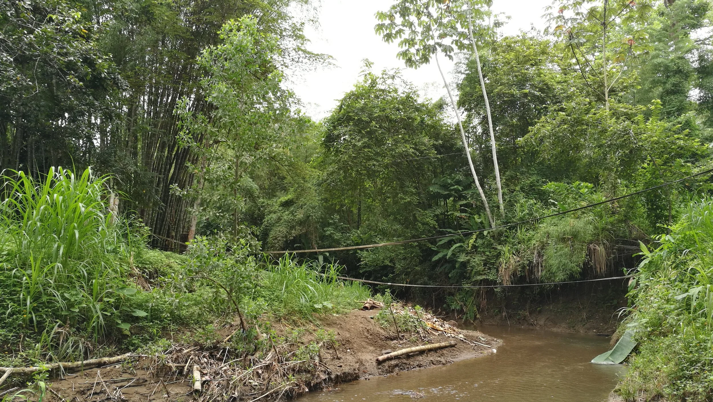 Projects — Regeneration Field Institute