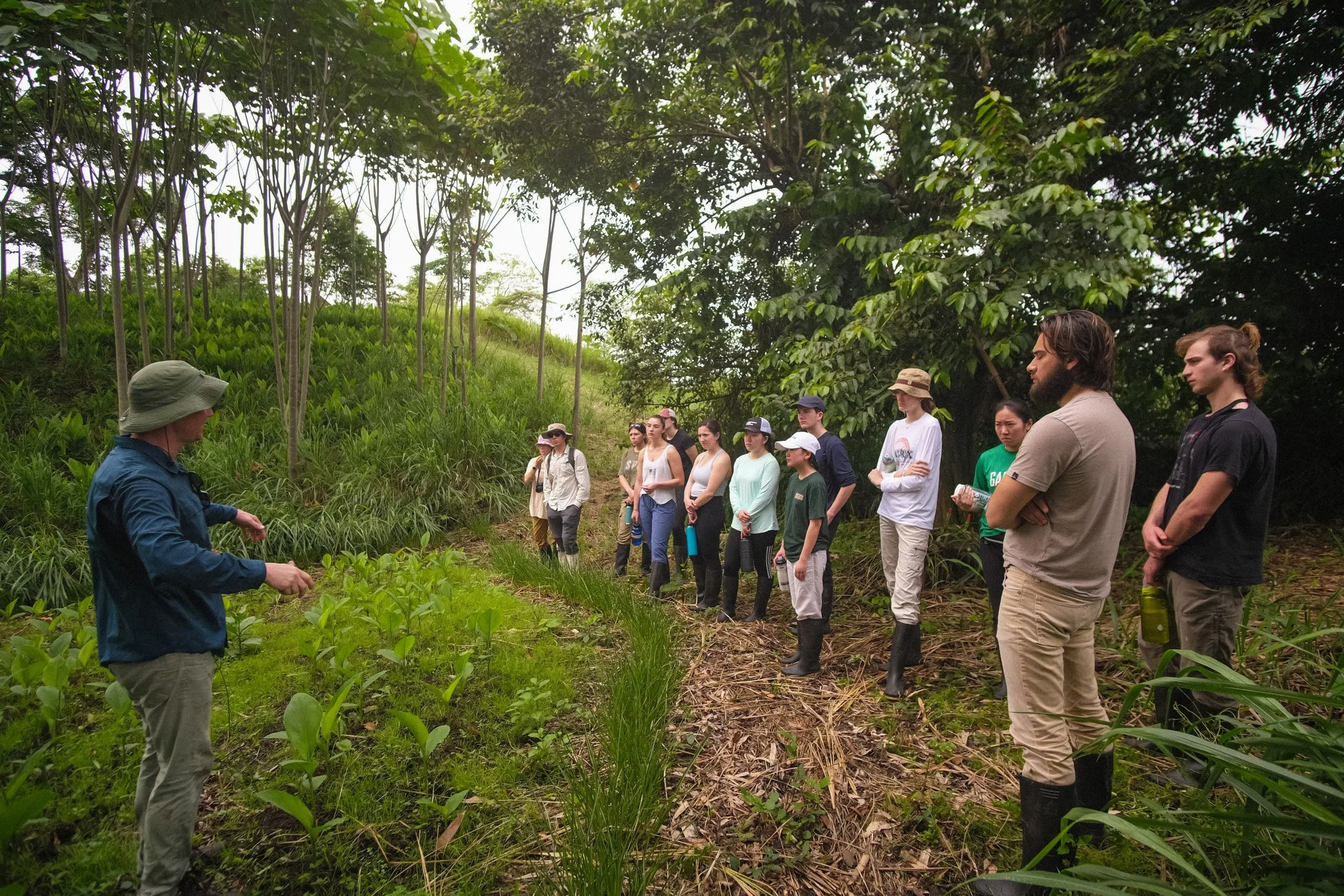 Intro to Syntropic Agroforestry — Regeneration Field Institute
