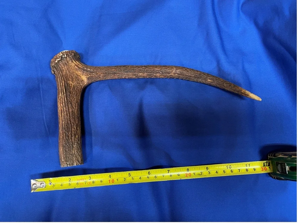 Clan Jewels — The Clan Buchanan