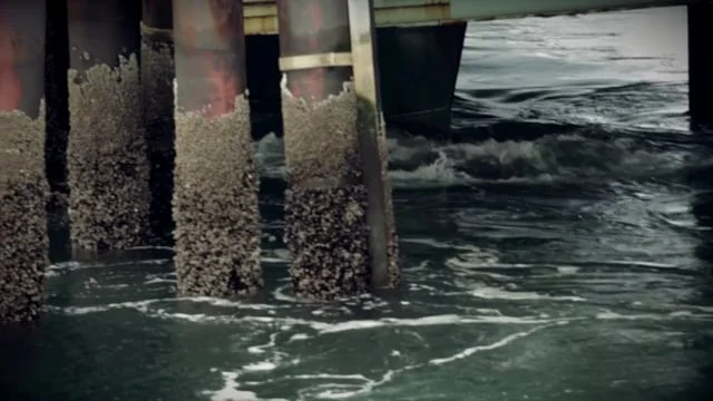 narrative — Paul Hyon Kim