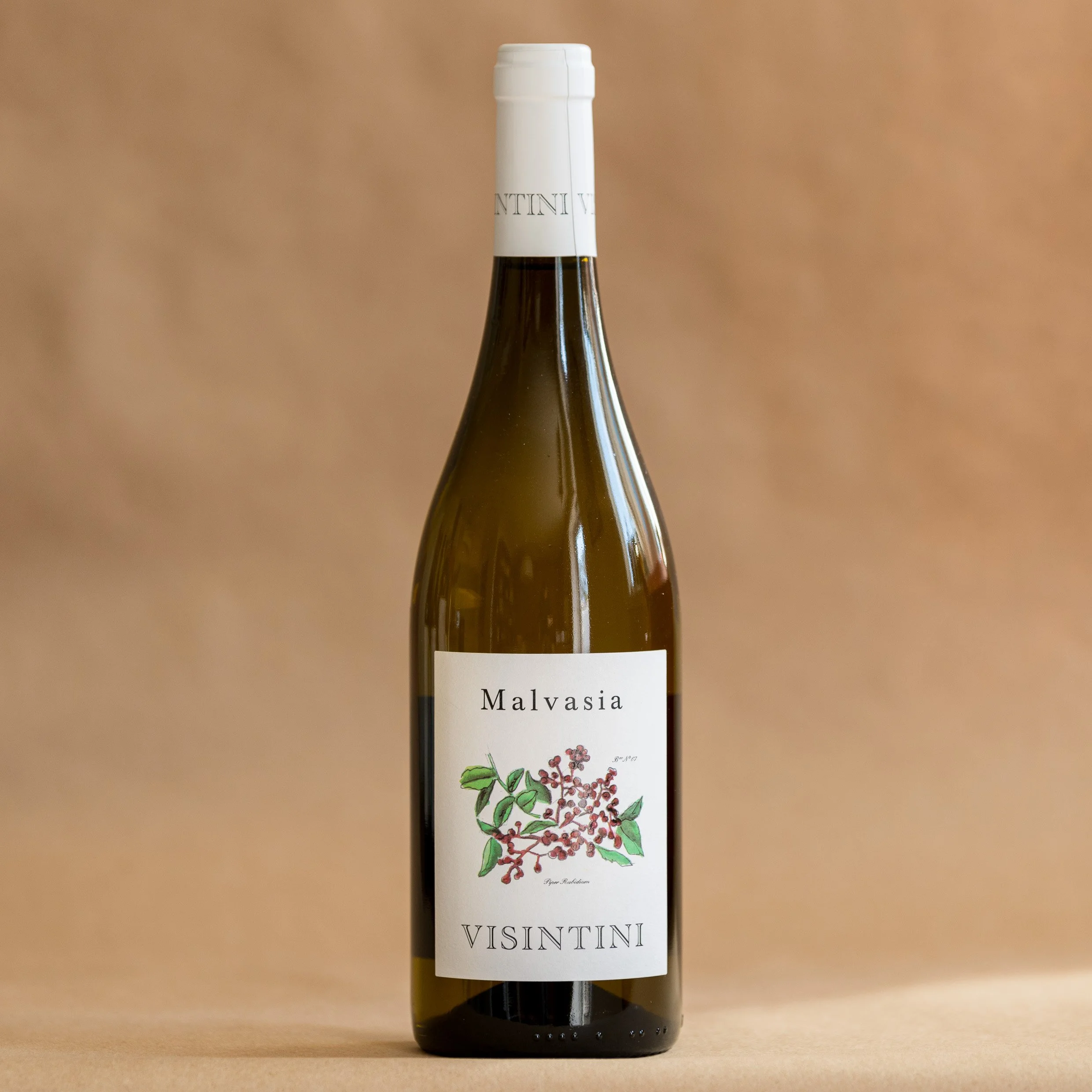 Visintini — Piedmont Wine Imports