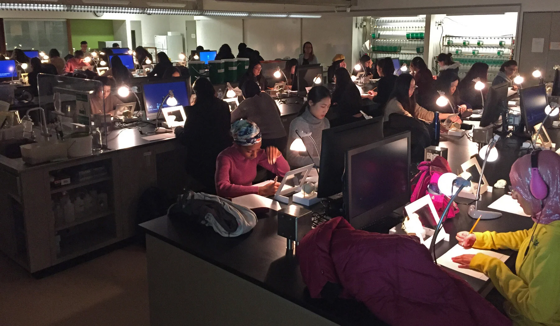 Printing skull models for a virtual classroom — Master of Science in ...