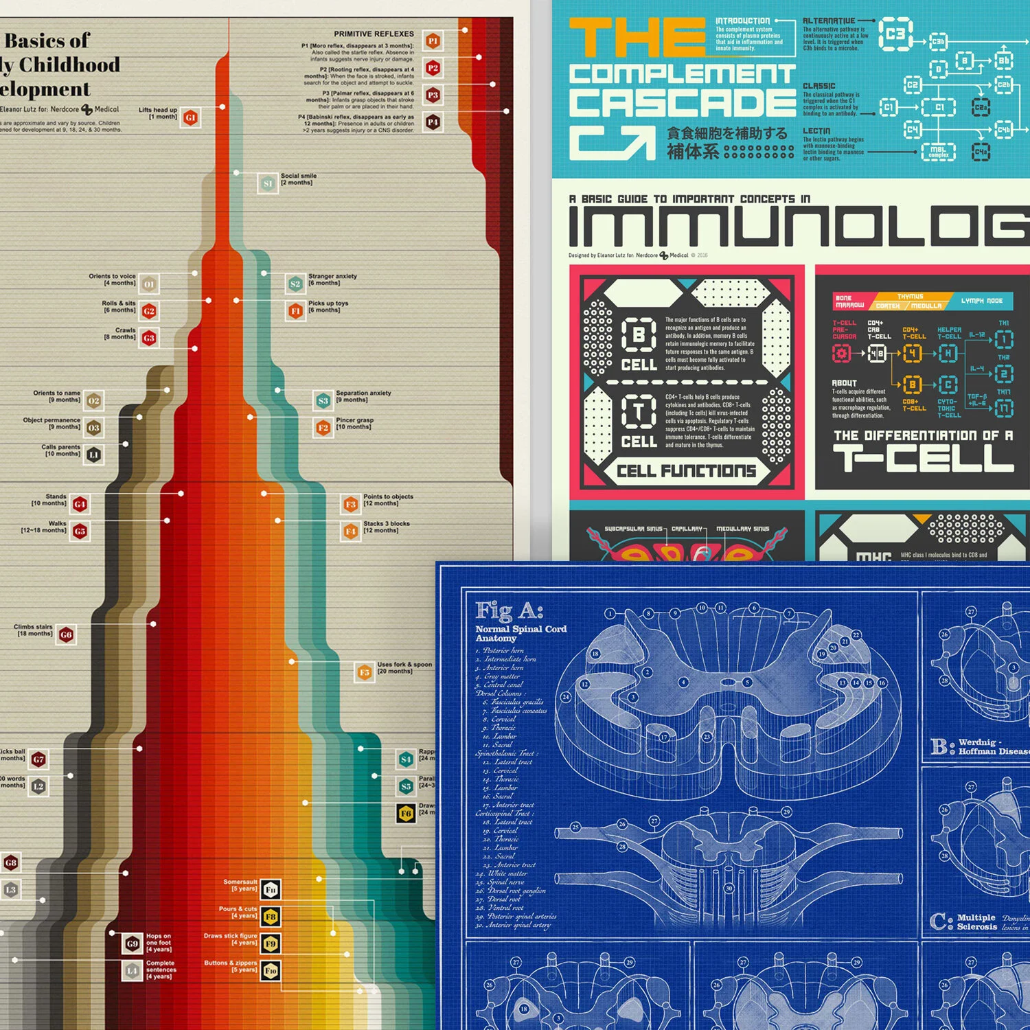 2021 BMC speaker series: Eleanor Lutz, Information Designer and Science ...