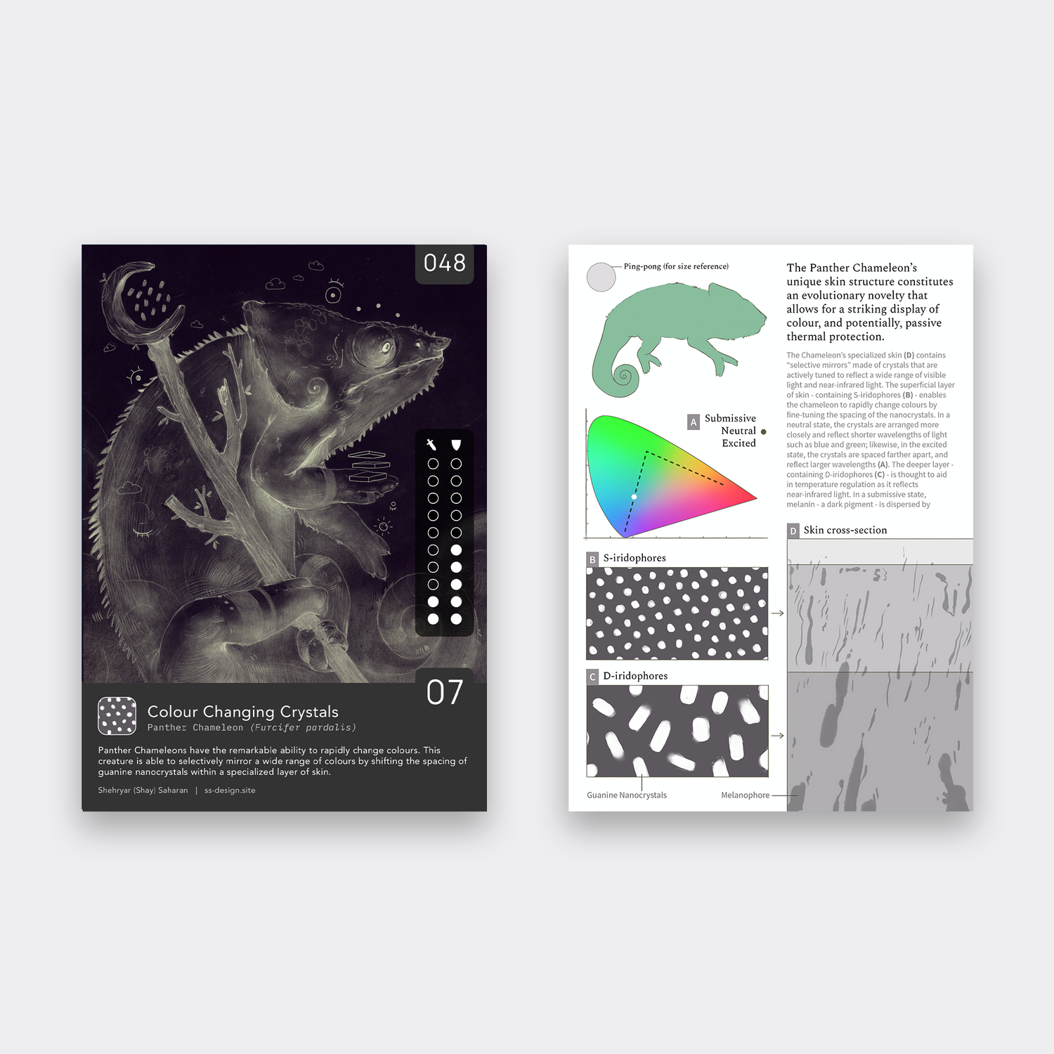 Biomedical Communications students create science trading cards ...