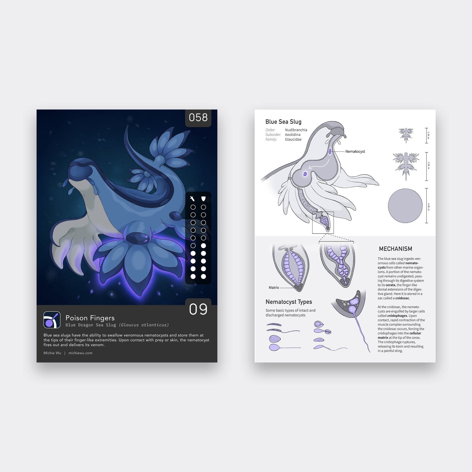 Biomedical Communications students create science trading cards ...