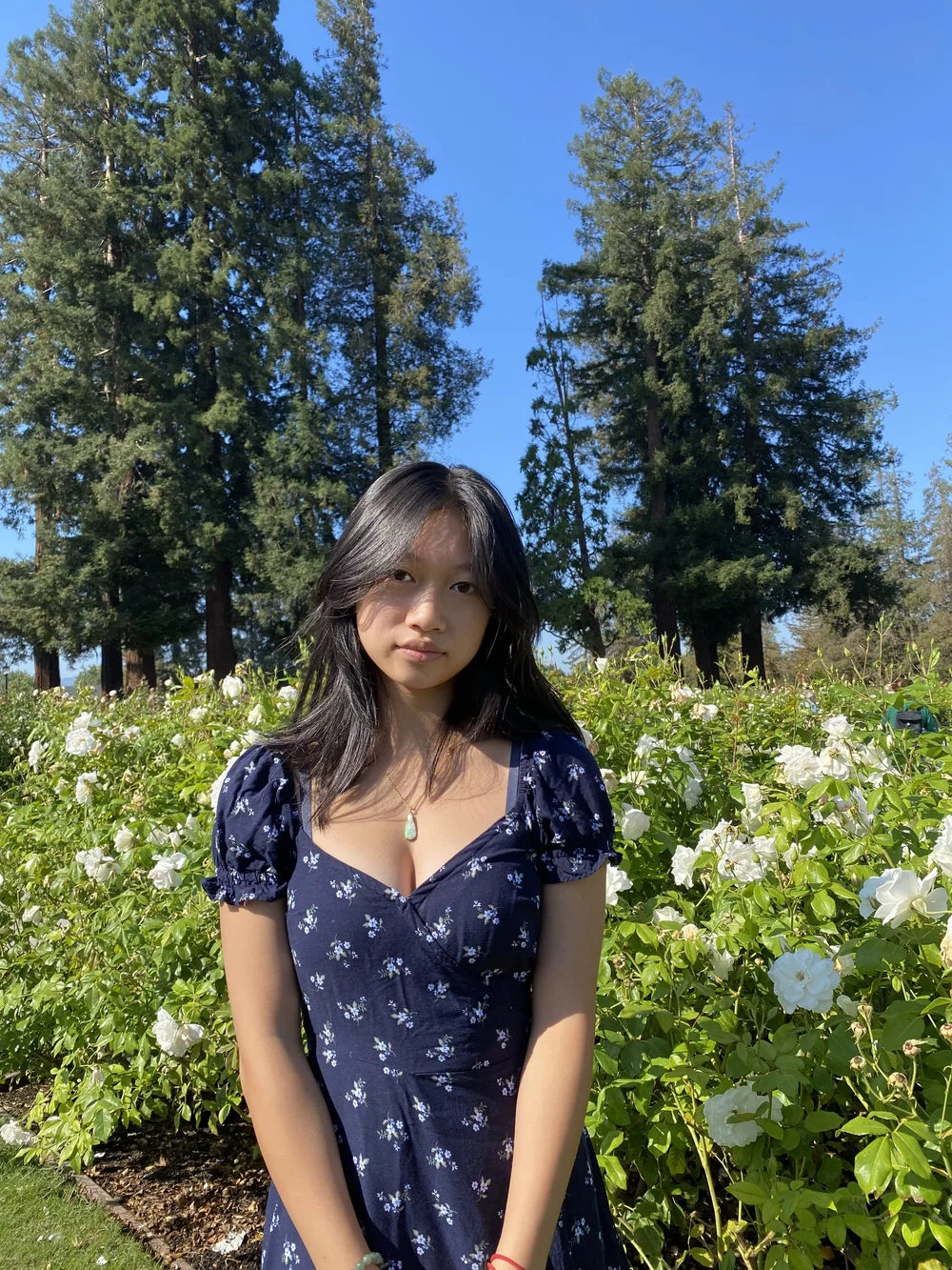 Community Outreach — DVHS Leadership