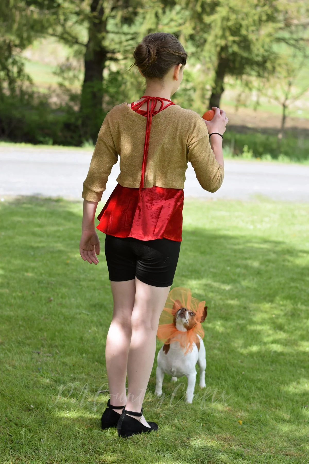 Sofiona Show Offs - Lion Tamer — PACountryCrafts