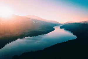 Weekly Energy: Decisive Steps and Nonlinear Growth — Dr. BethAnne ...