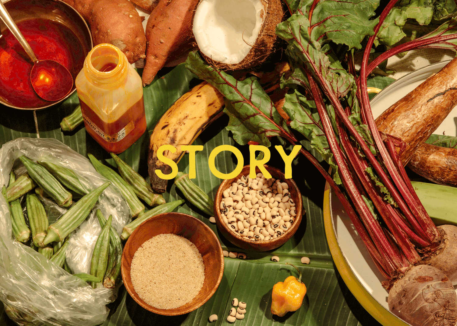 Philosophy — TERANGA - African Super Food