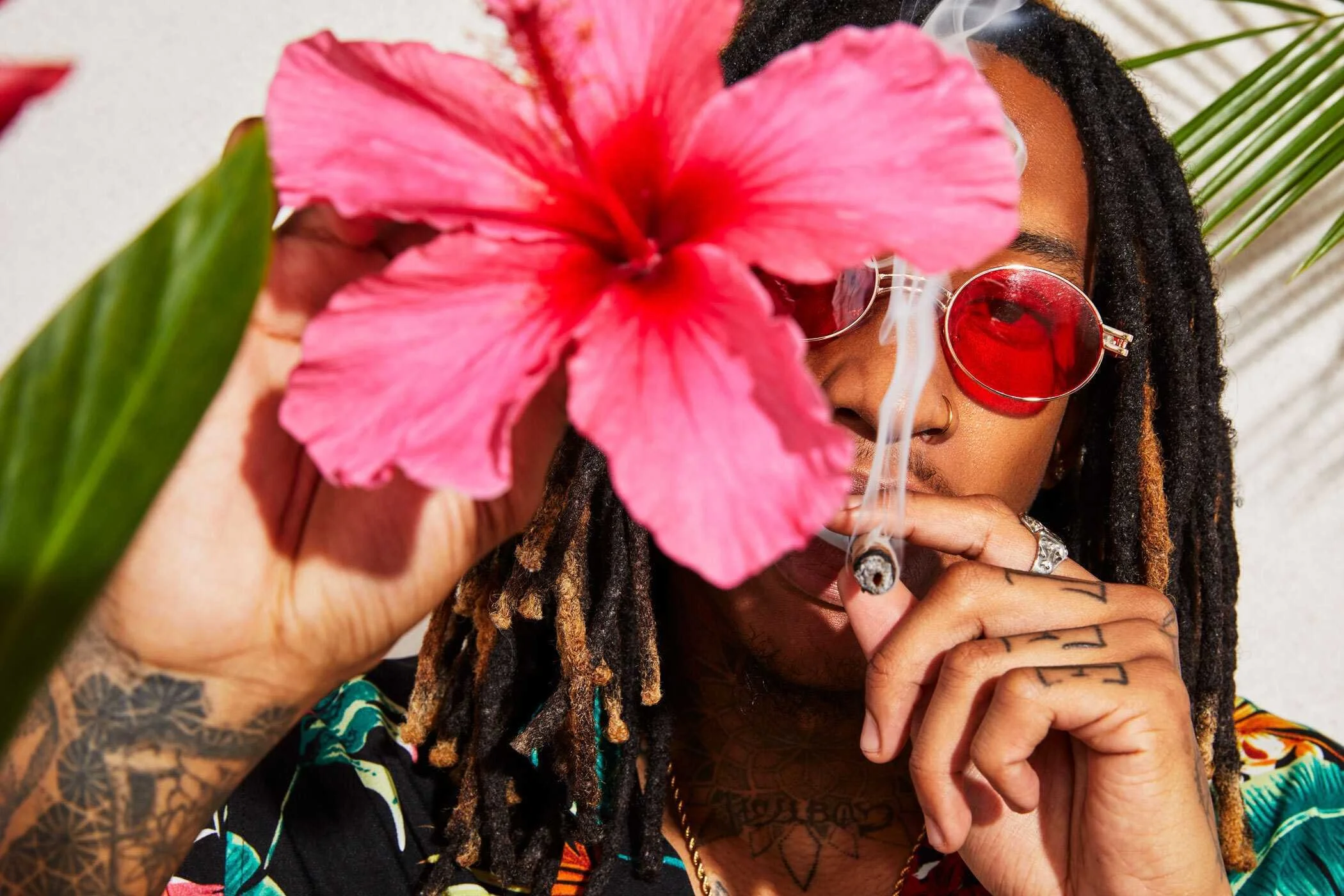 Halos — MAVEN GENETICS