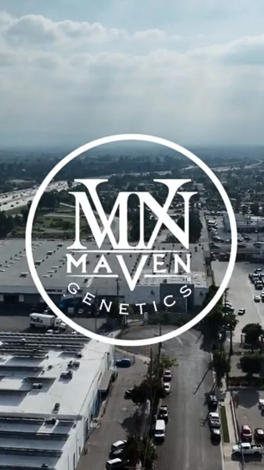 MAVEN GENETICS