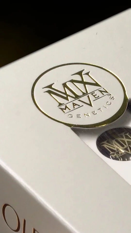 California Connoisseur Cannabis – Maven Genetics — MAVEN GENETICS
