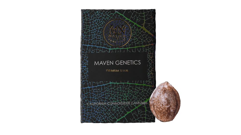 SEEDS landing page — MAVEN GENETICS