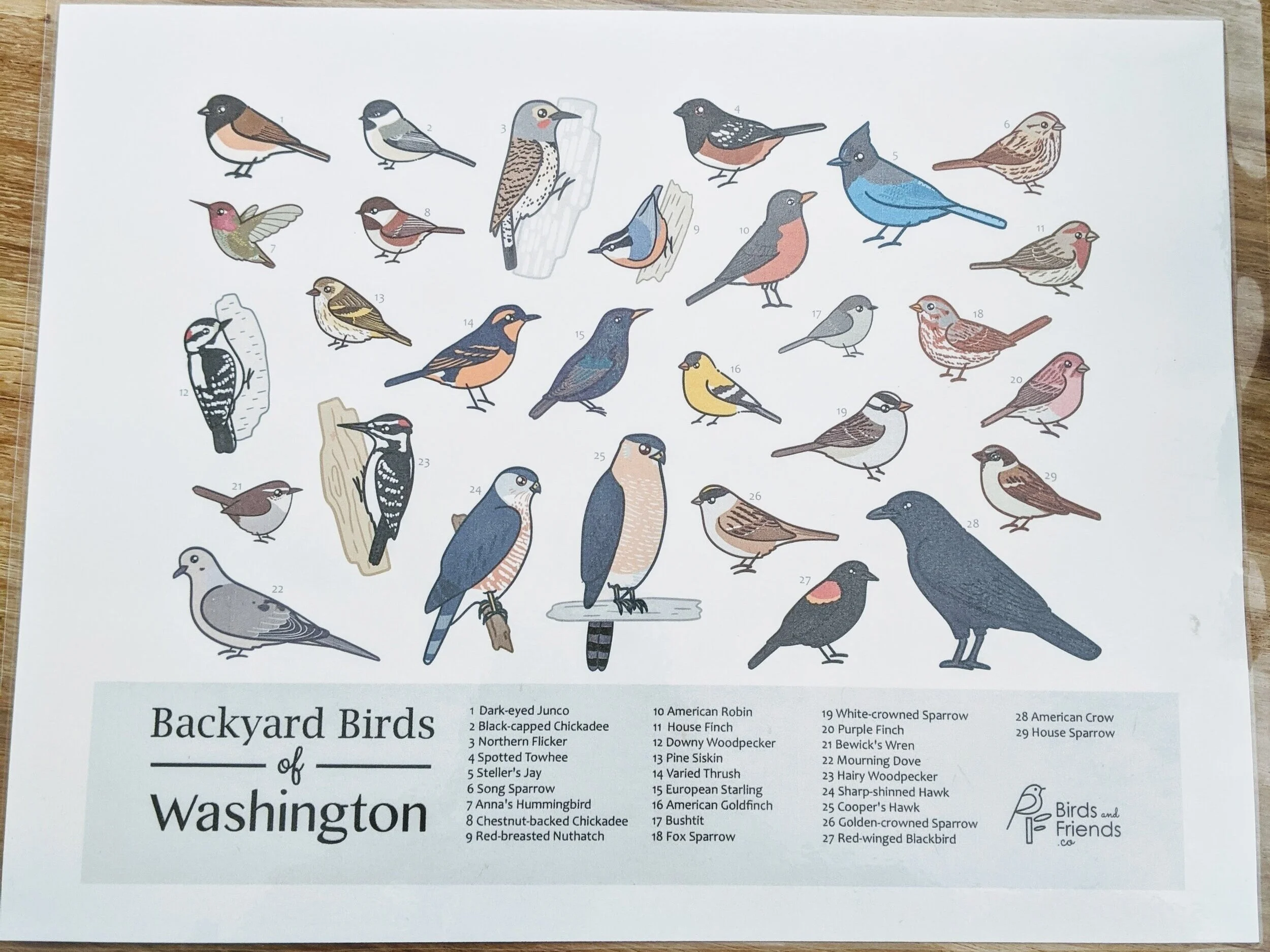 Bird-Themed Activities for Toddlers — Montessori in Real Life