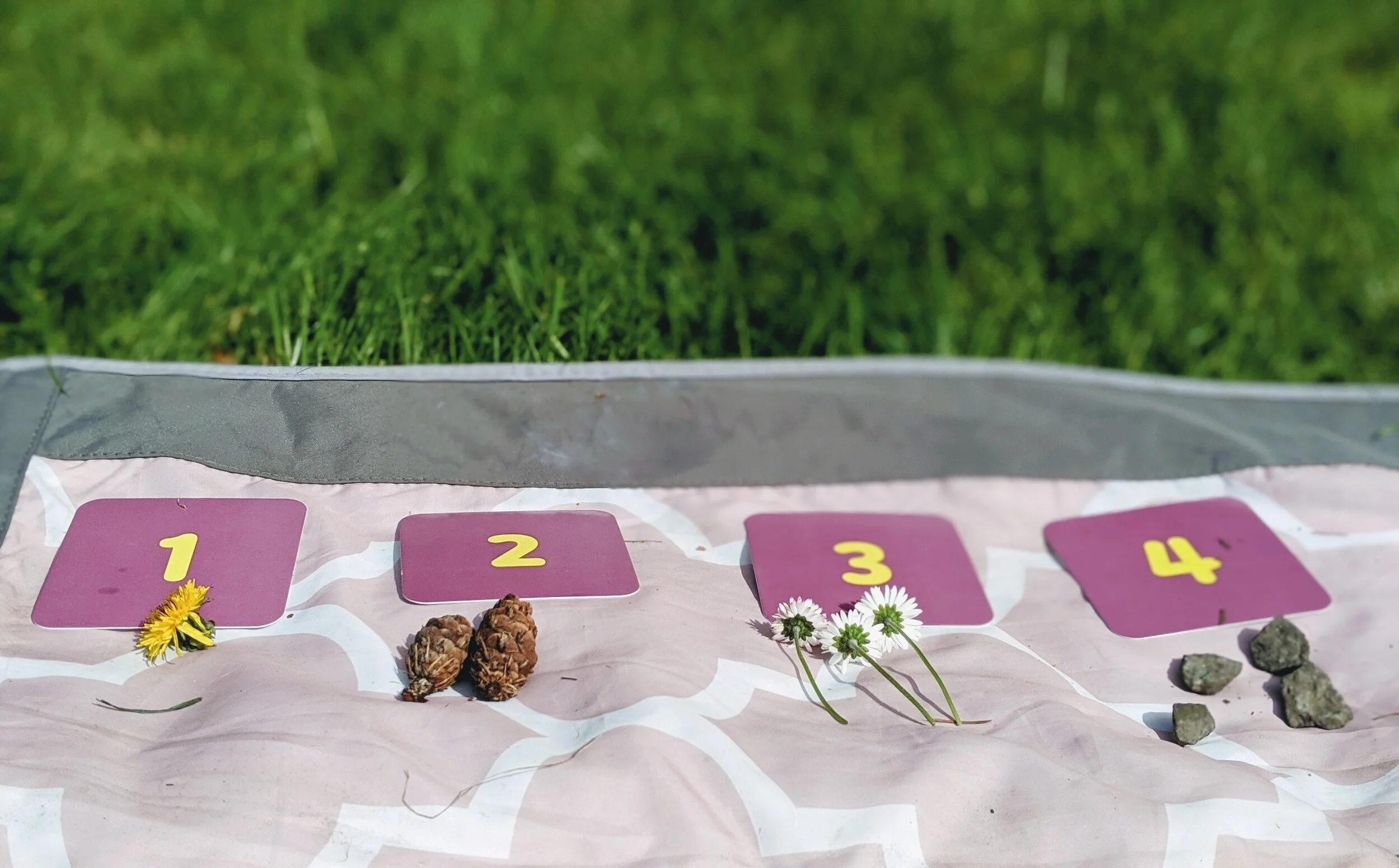 Learning to Count: One-to-One Correspondence — Montessori in Real Life