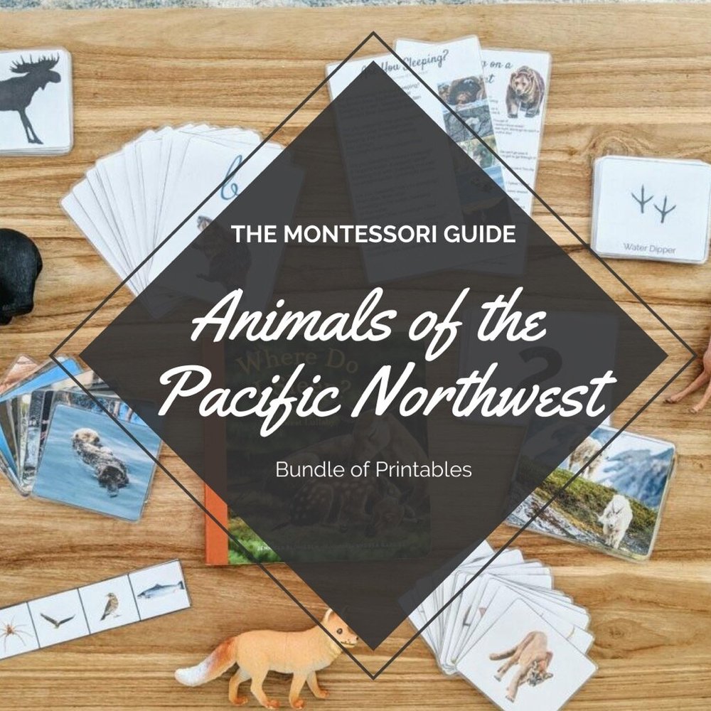 Printables — Montessori in Real Life