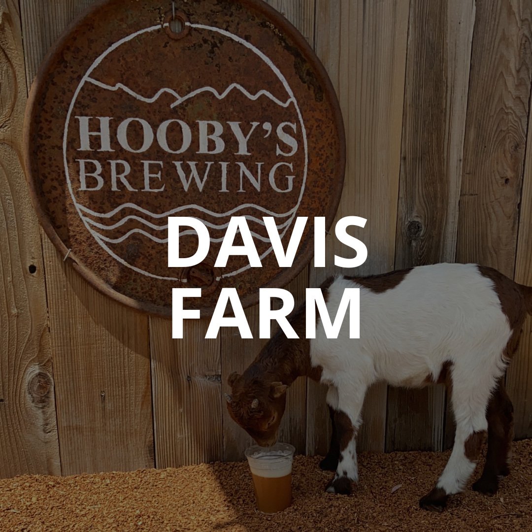 Hooby's Brewing